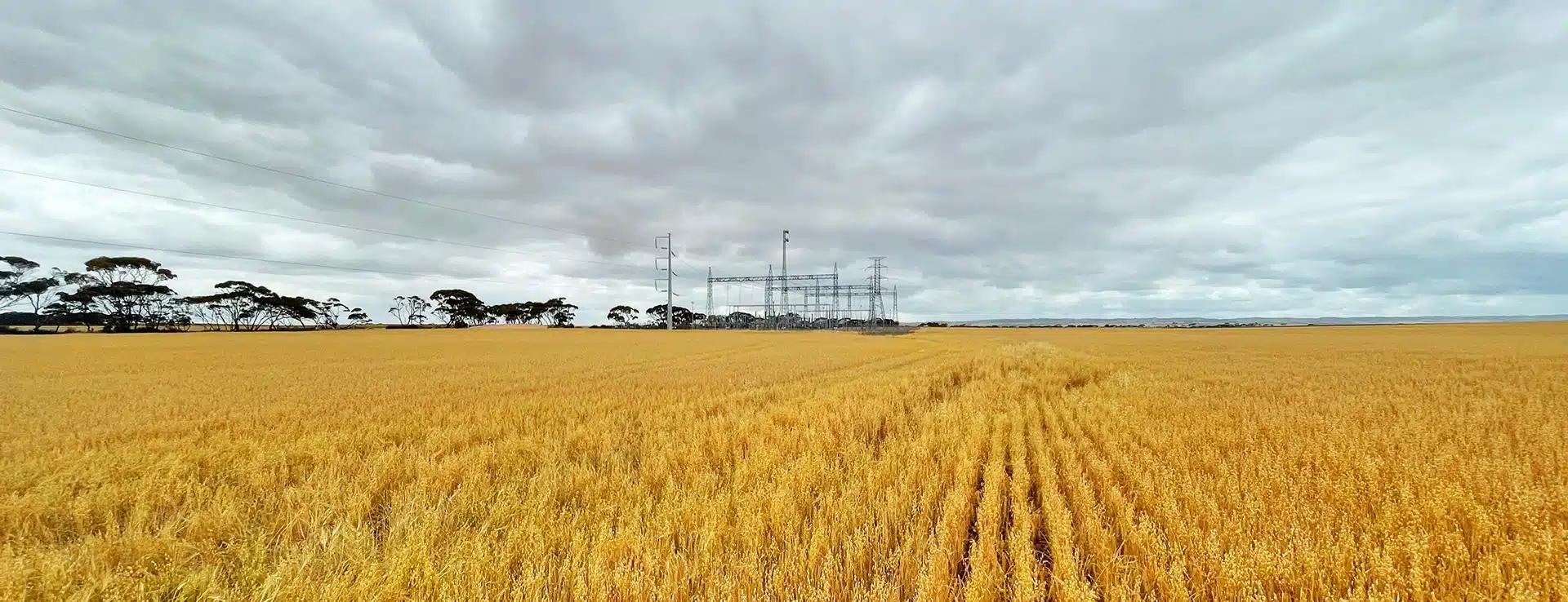 Neoen finance ses actifs renouvelables en Australie | CFNEWSINFRA