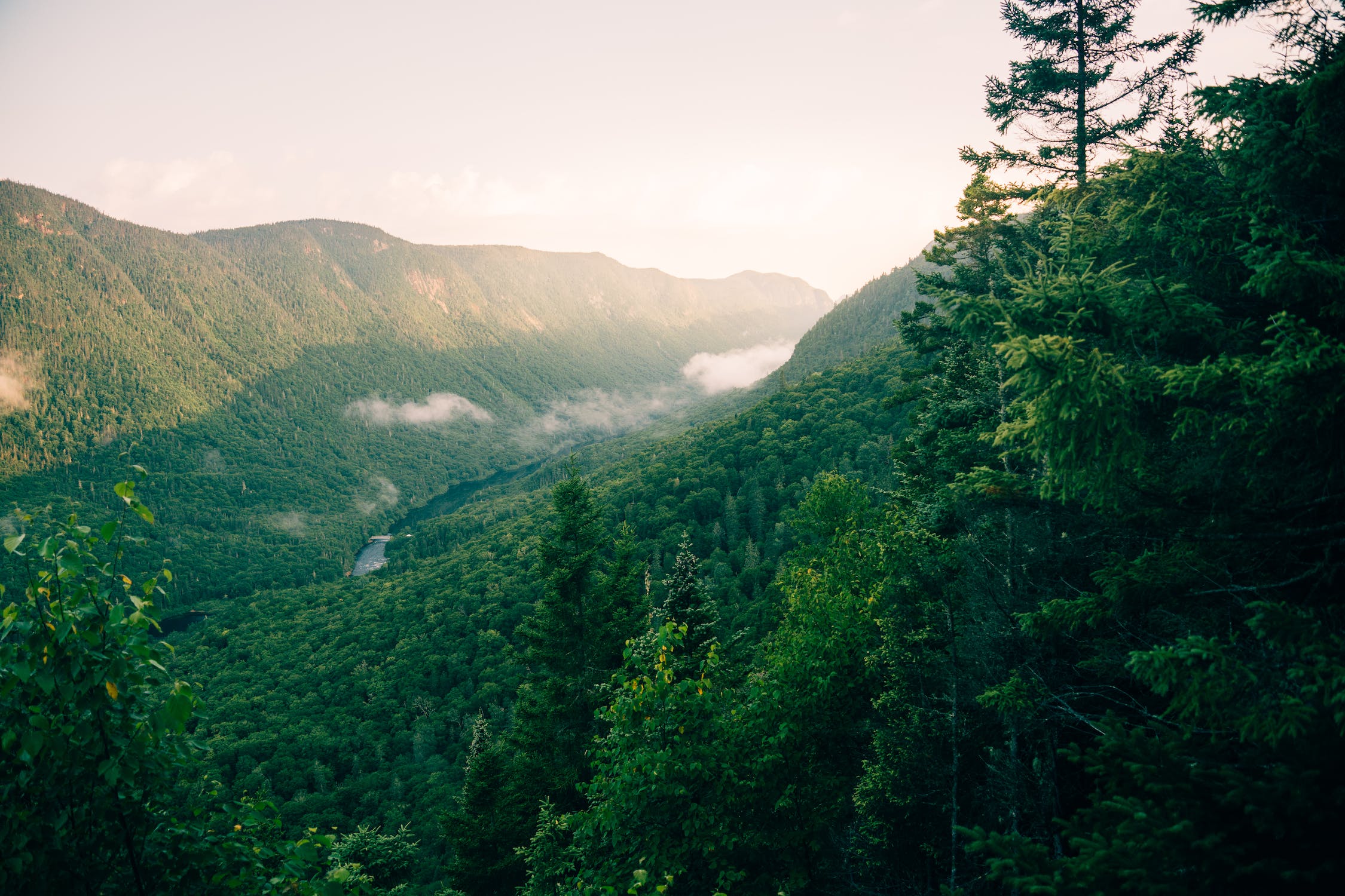 First close pour les Nature-Based Solutions d'Ardian | CFNEWSINFRA